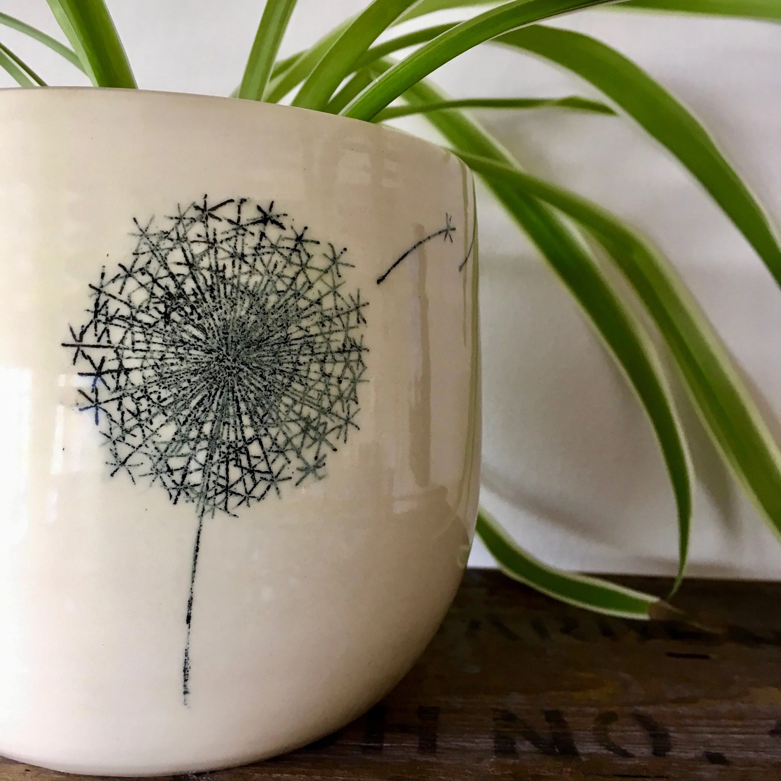 WENDY CALDER CERAMICS – SHOP