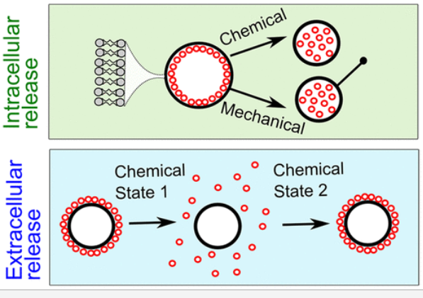 Publications — Elani Bioinspired Engineering Group
