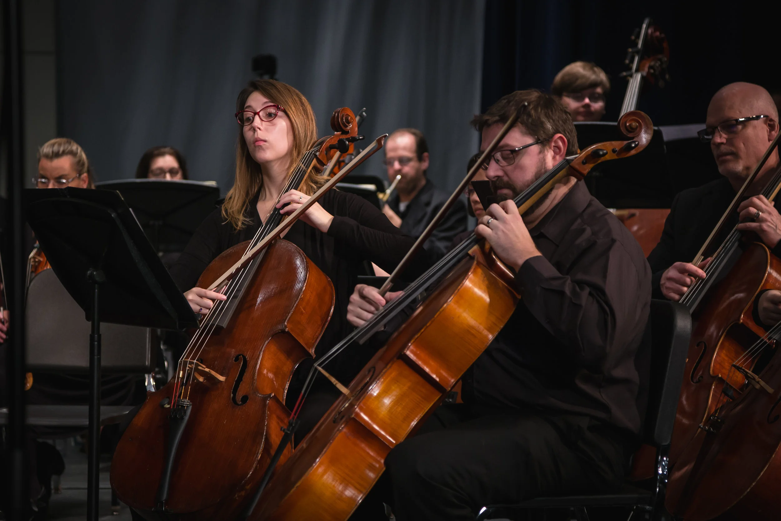 Media — Piedmont Symphony Orchestra