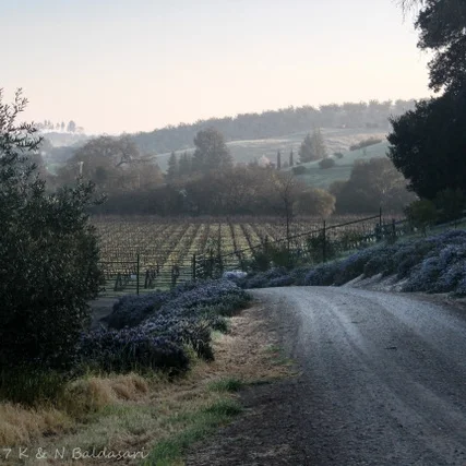 Eden House Vineyard & Inn - Located in Wine Country on the Central Coast