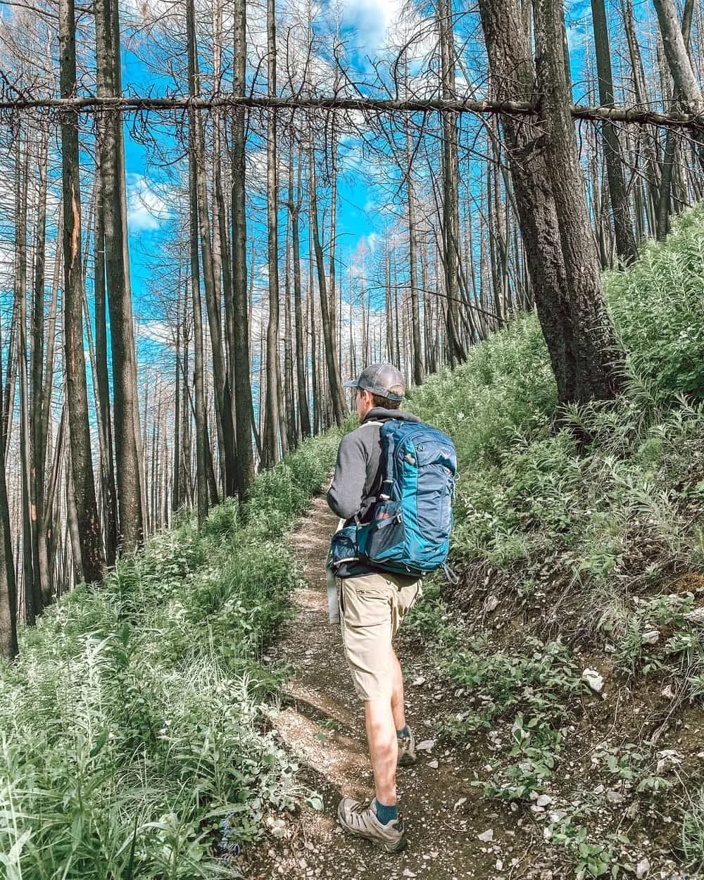 Top Activities in Glacier National Park: Hiking, Rafting, Boating, and ...