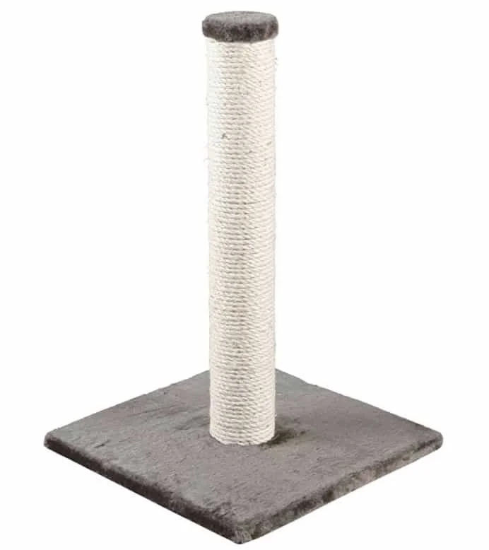 RVing with Cats: Tips & Must-Haves (From Full-Time RVers)