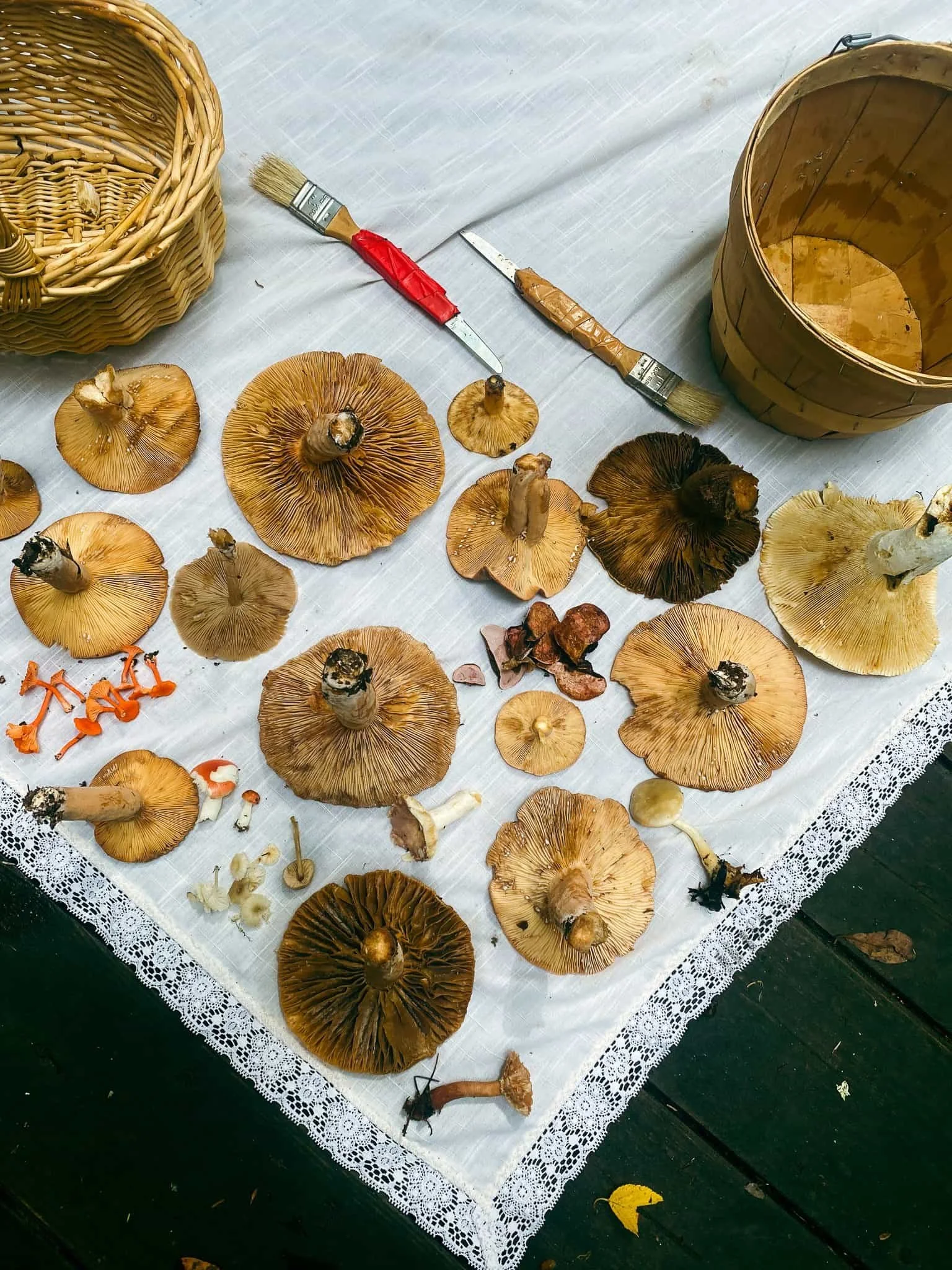 Complete Travel Guide to Exploring Asheville, North Carolina