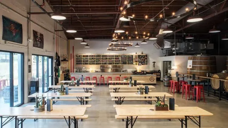 Tampa's Top Breweries: Find the Best Craft Beer in Florida