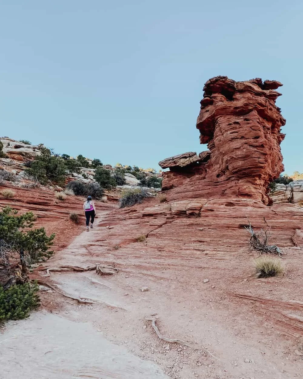 Complete Travel Guide to Capitol Reef National Park