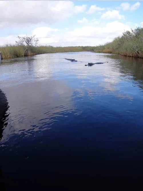 Your Guide to Everglades National Park: Tips for a Memorable Trip