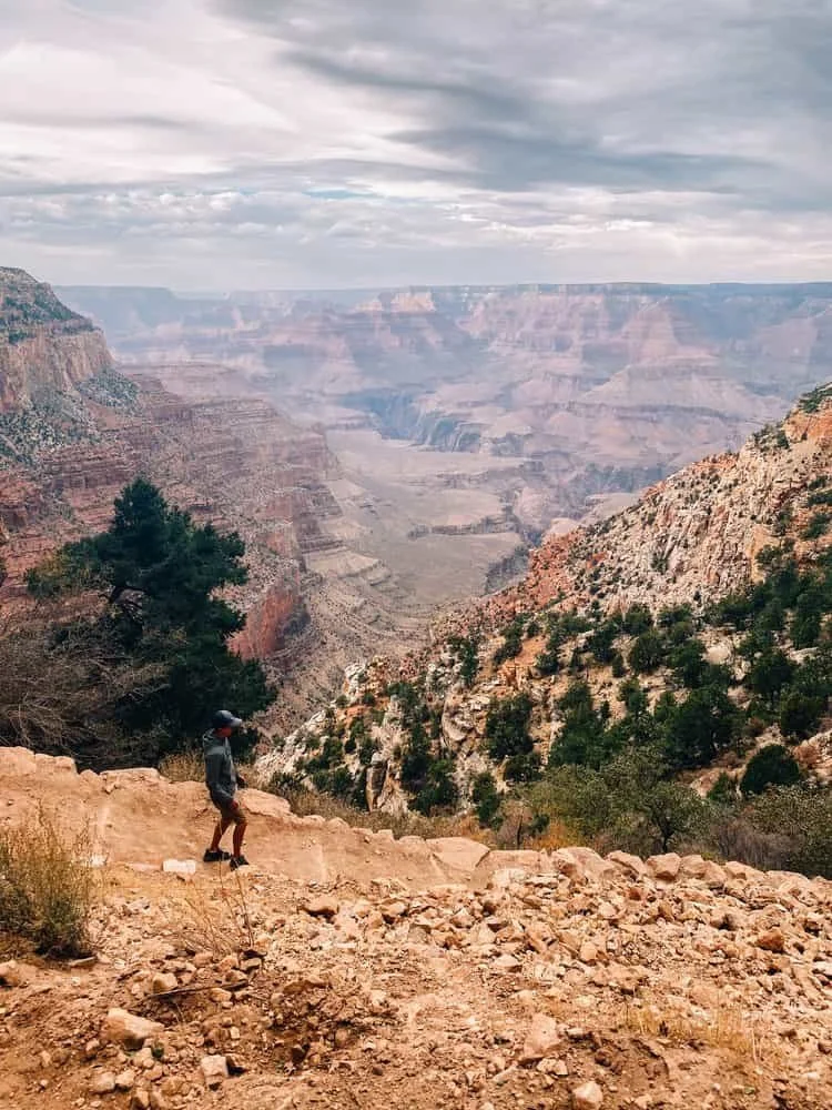 Visit the Grand Canyon National Park and experience its beauty and grandeur