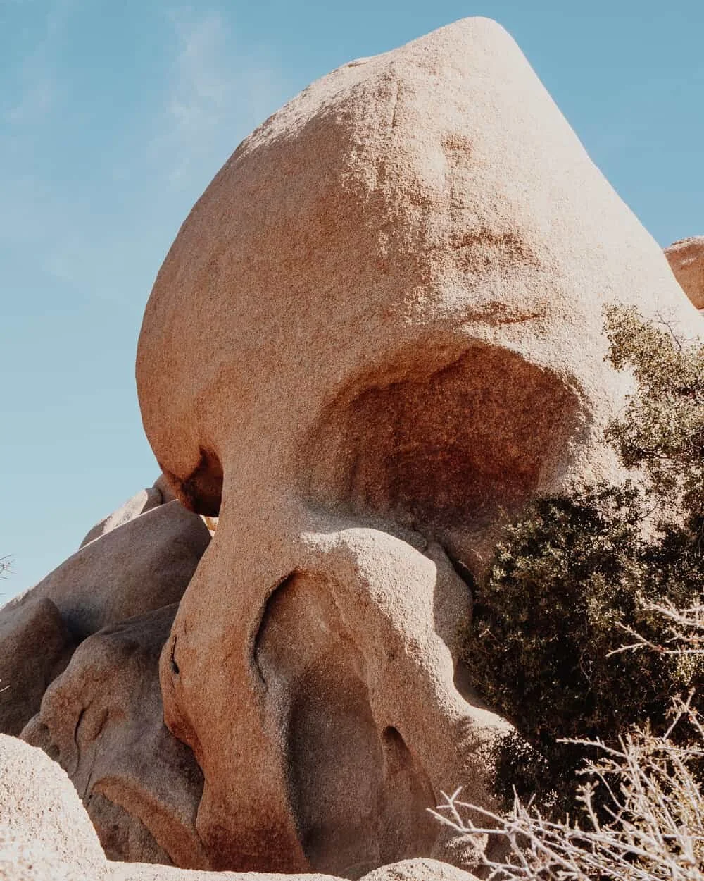 Joshua Tree National Park: Best Things to Do Travel Guide