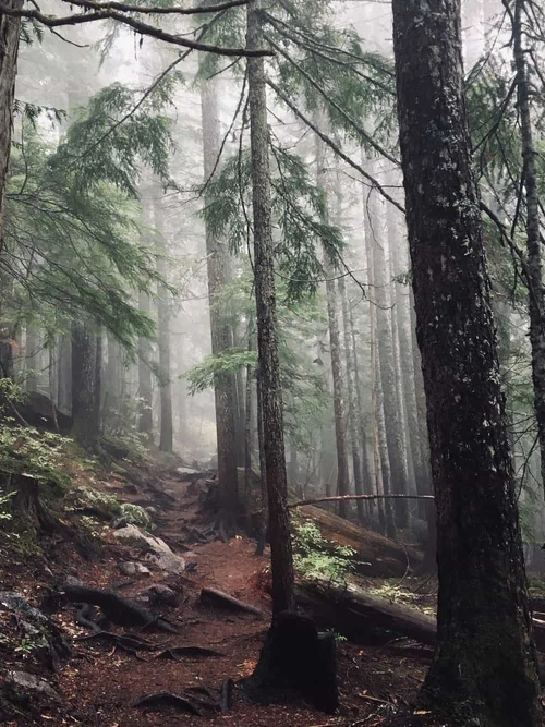 Discover Pass: Everything You Need to Know for Washington Parks