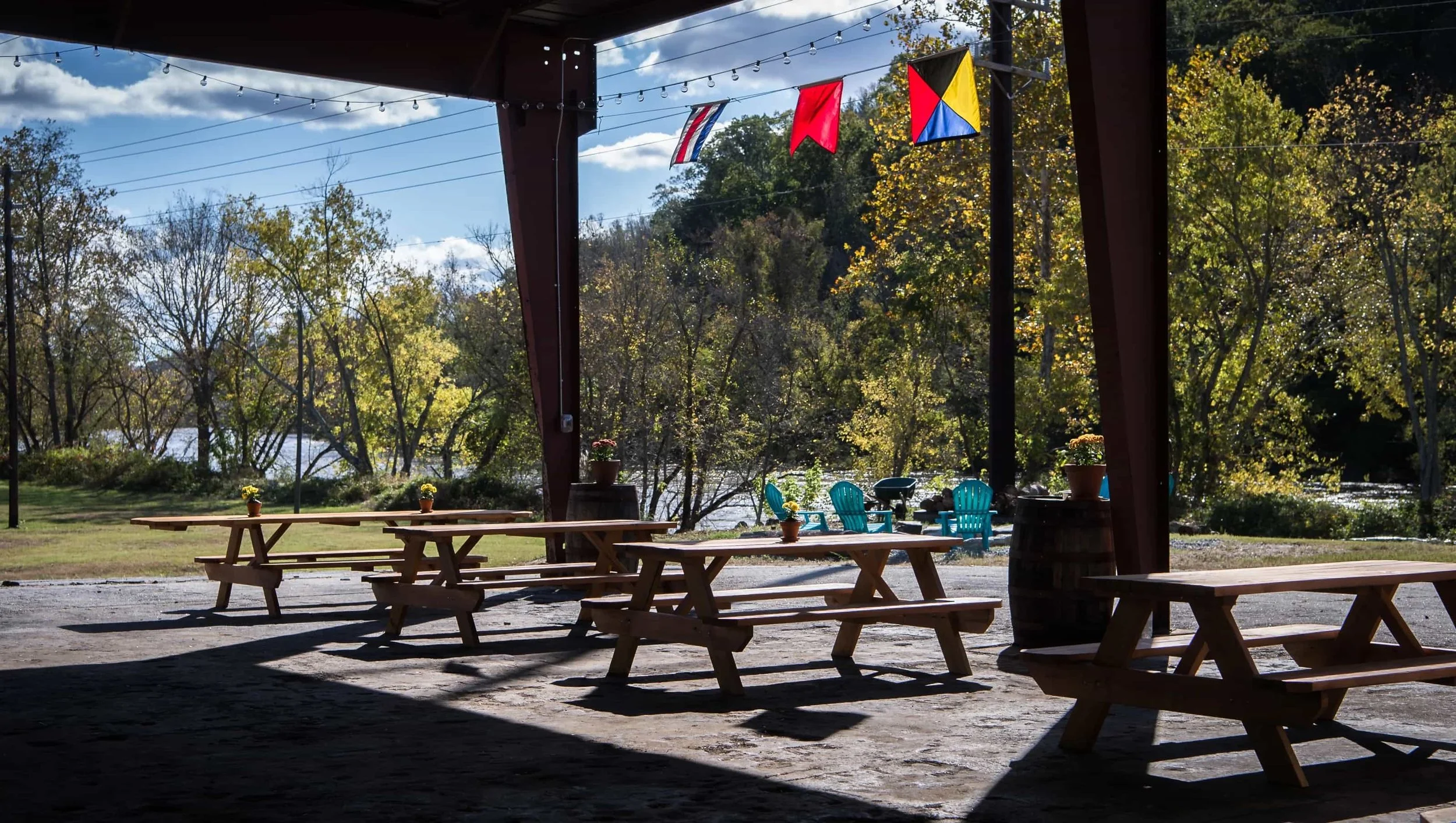 Discover the Best Breweries in Asheville, NC: Your Ultimate Guide