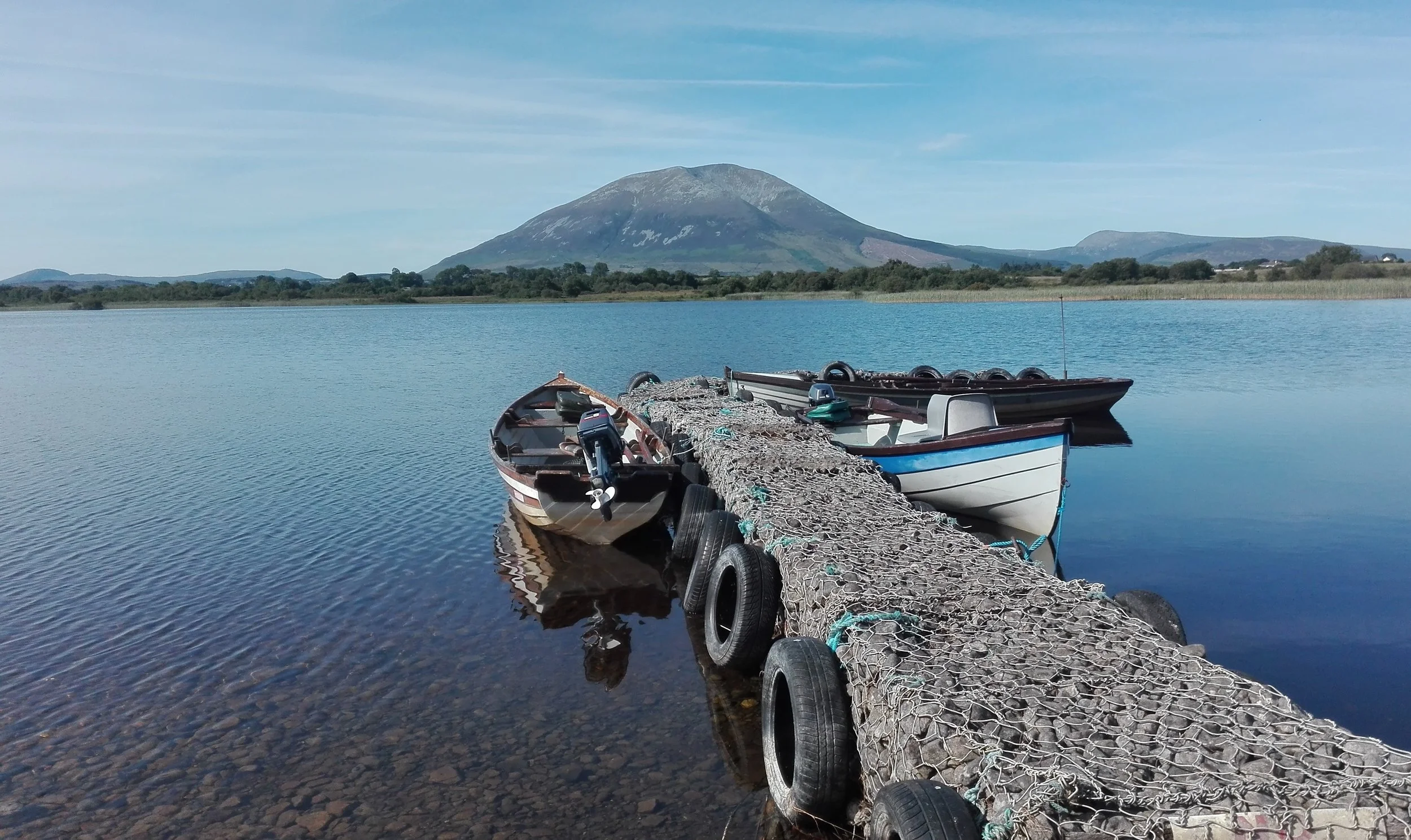 About — amreevefineart.com