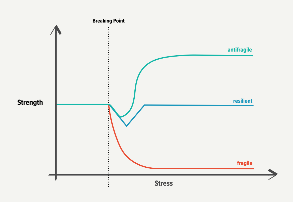 How to Make Your Startup Antifragile — Chris Neumann