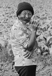 Who We Are | Texas RioGrande Legal Aid (TRLA) | Free Legal Services