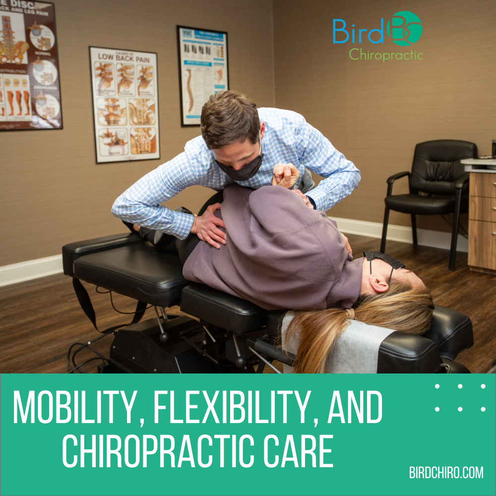 Mobility, Flexibility, and Chiropractic Care — Bird Chiropractic - Best ...