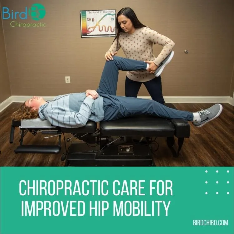 Chiropractic Care for Improved Hip Mobility — Bird Chiropractic - Best ...