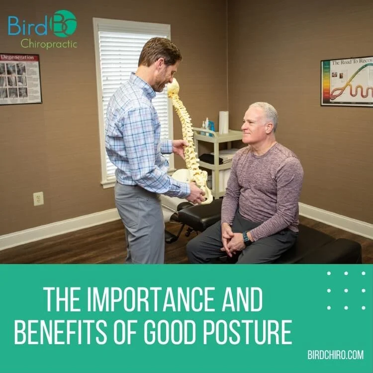The Importance and Benefits of Good Posture — Bird Chiropractic - Best ...