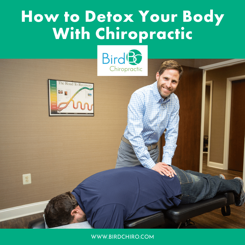 How to Detox Your Body With Chiropractic — Bird Chiropractic - Best ...