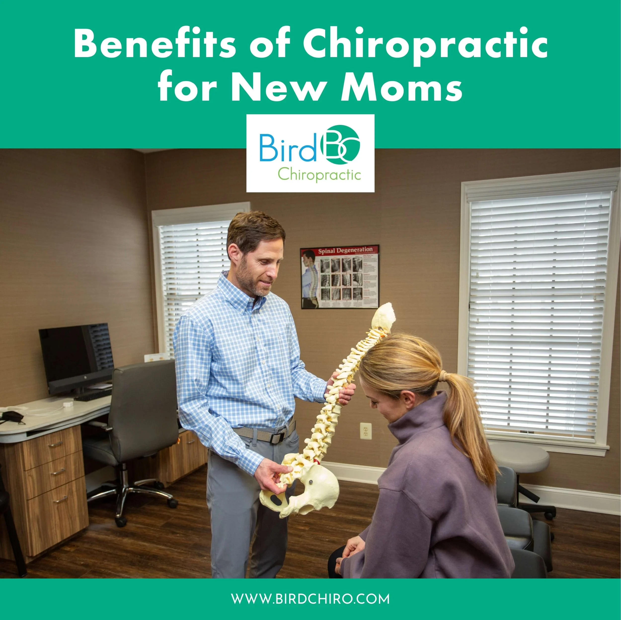 Benefits of Chiropractic for New Moms — Bird Chiropractic - Best Local ...