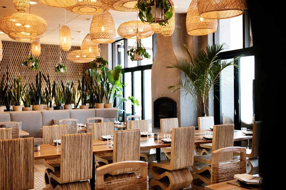 Sister Restaurants — Colita