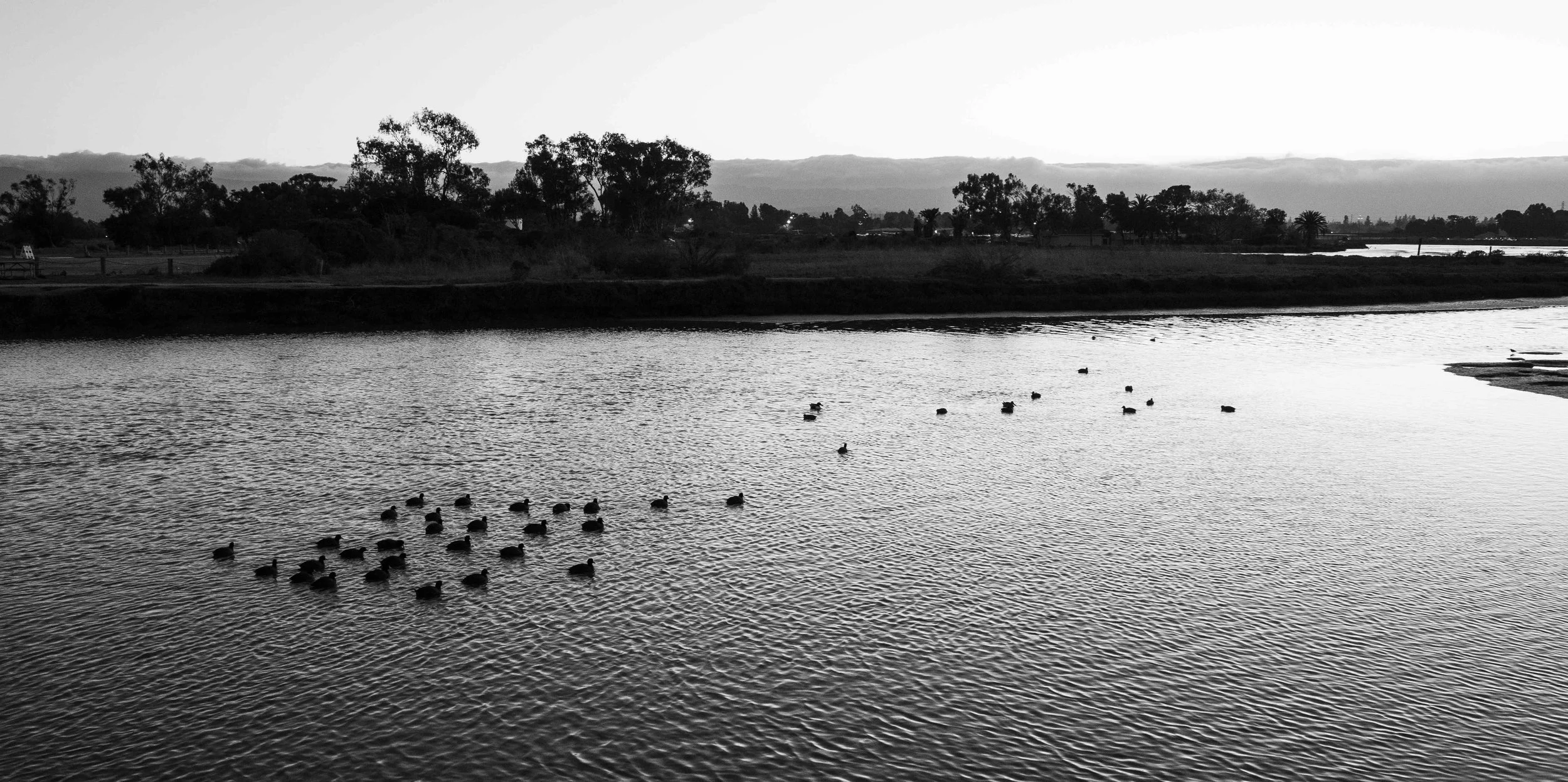 CSP 2023 Intro to Landscape — John Todd's Photo Journal