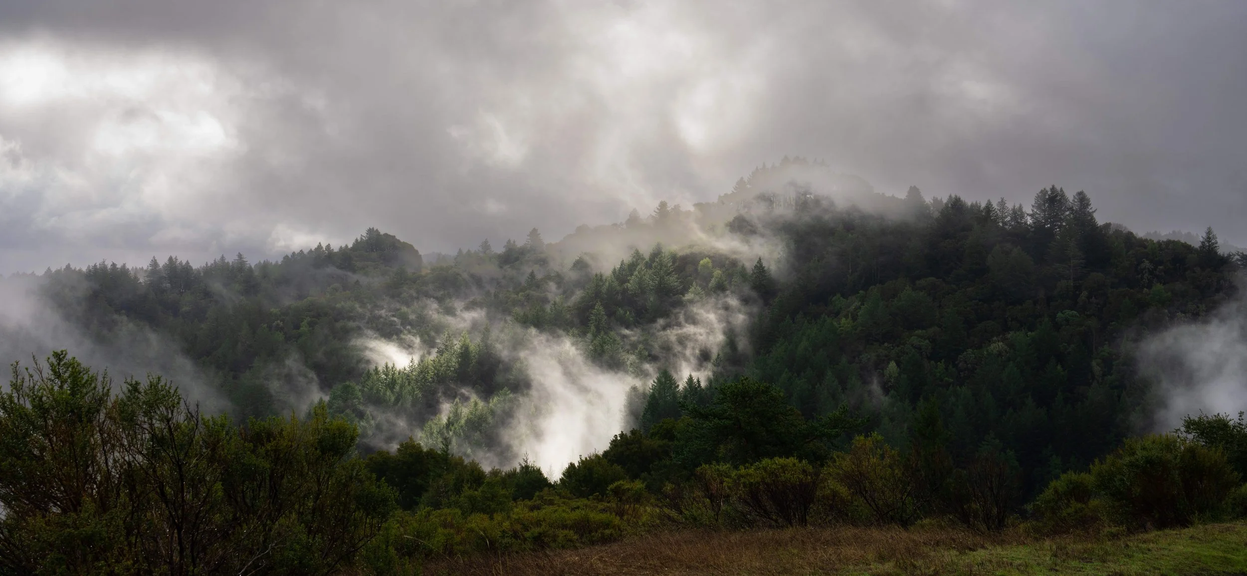 CSP 2023 Intro to Landscape — John Todd's Photo Journal