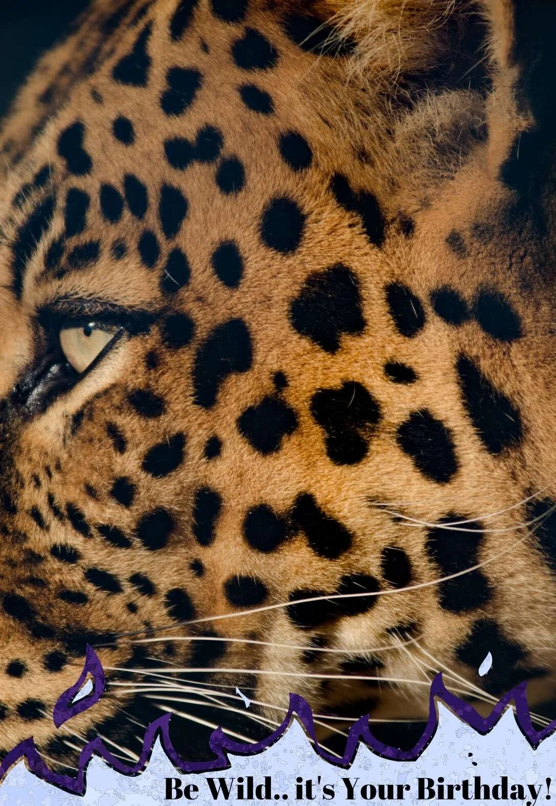 7 Awesome Leopard Print Birthday Cards (printable) — PRINTBIRTHDAY.CARDS