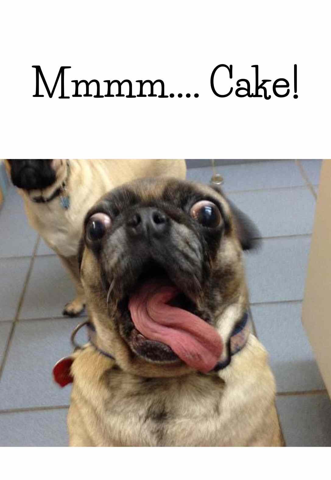 10+ Pugalicious Pug Printable Birthday Cards (with messages ...
