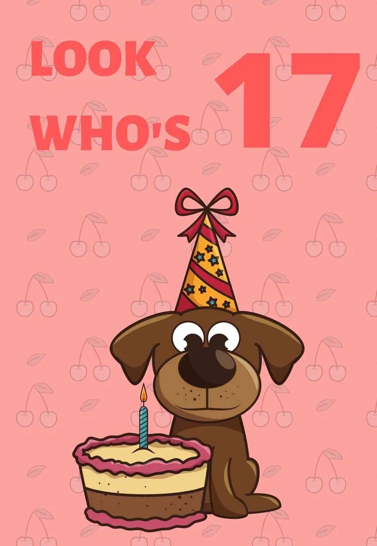8 Fantastic Printable Birthday Cards for 17 Year Olds (free ...