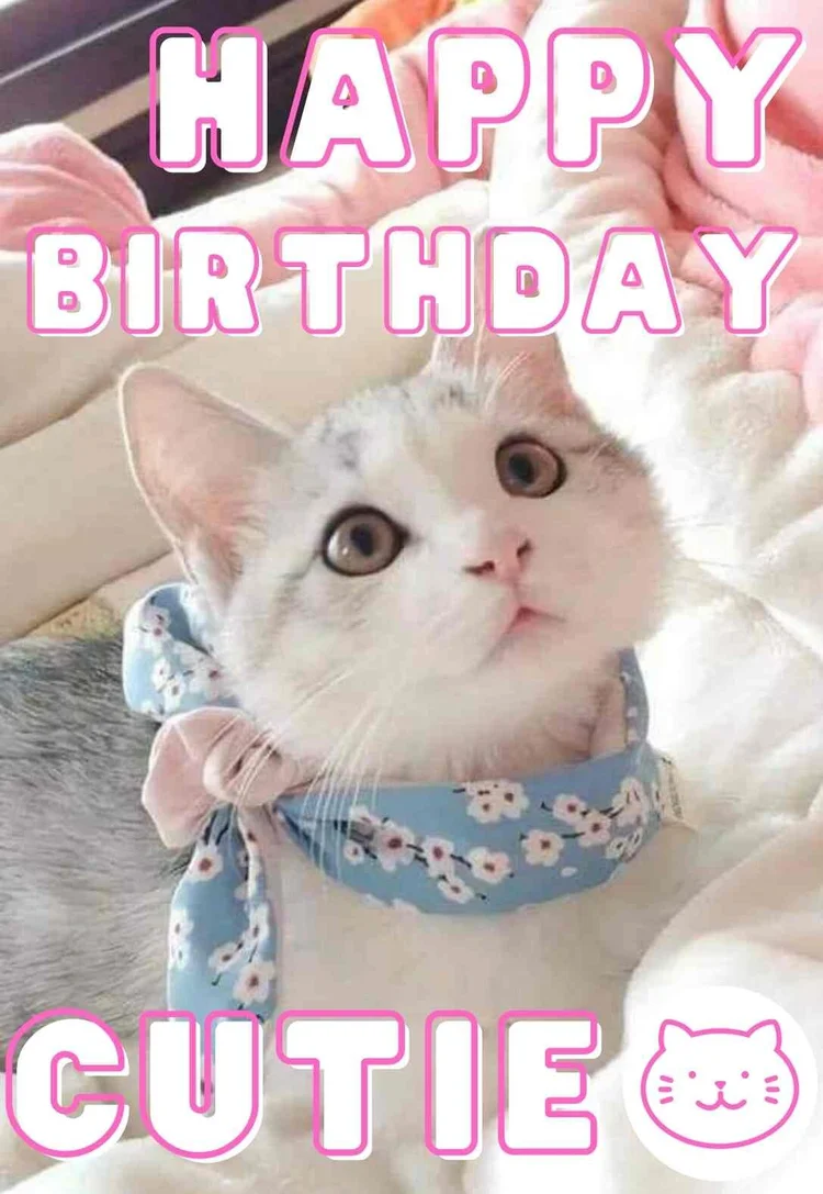20 Cat Printable Birthday Cards (free) — PRINTBIRTHDAY.CARDS