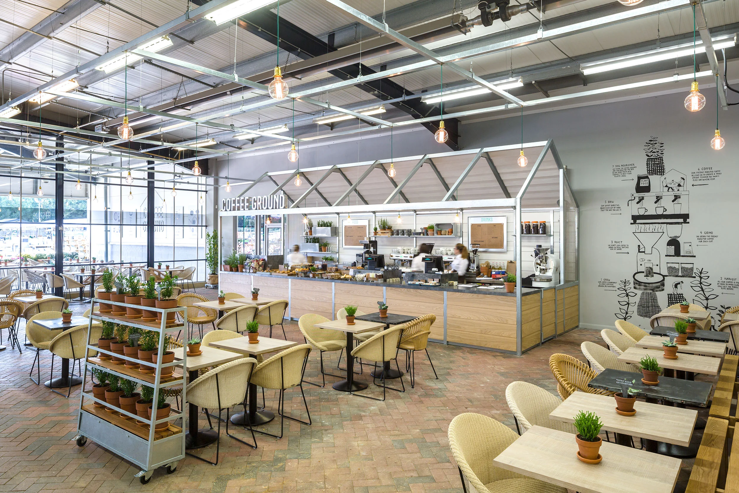 Coffee Ground — Kiwi & Pom