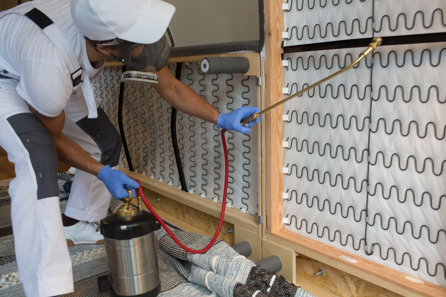 Toronto Pest Control Experts Near You | BEST Toronto Bed Bug ...