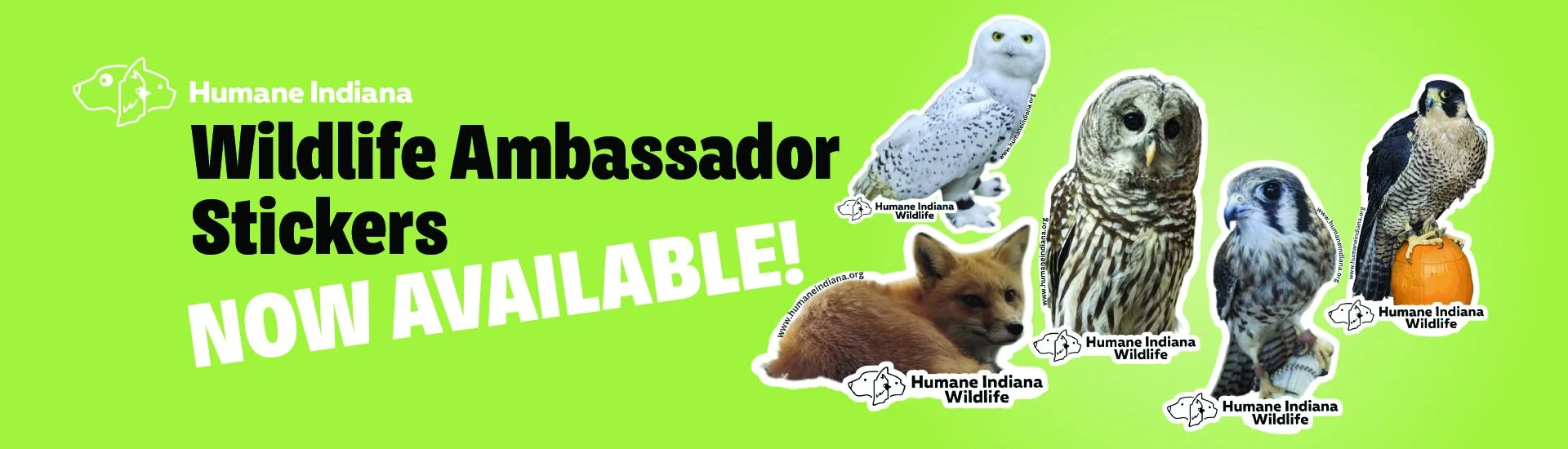 Wildlife Ambassador Stickers — Humane Indiana