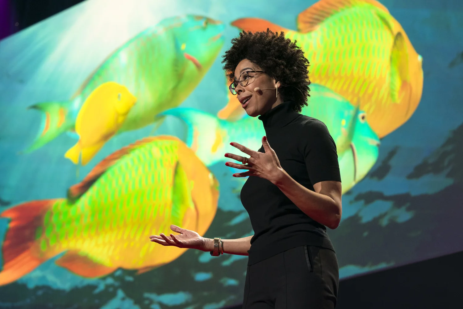 BIO & PHOTOS — Ayana Elizabeth Johnson