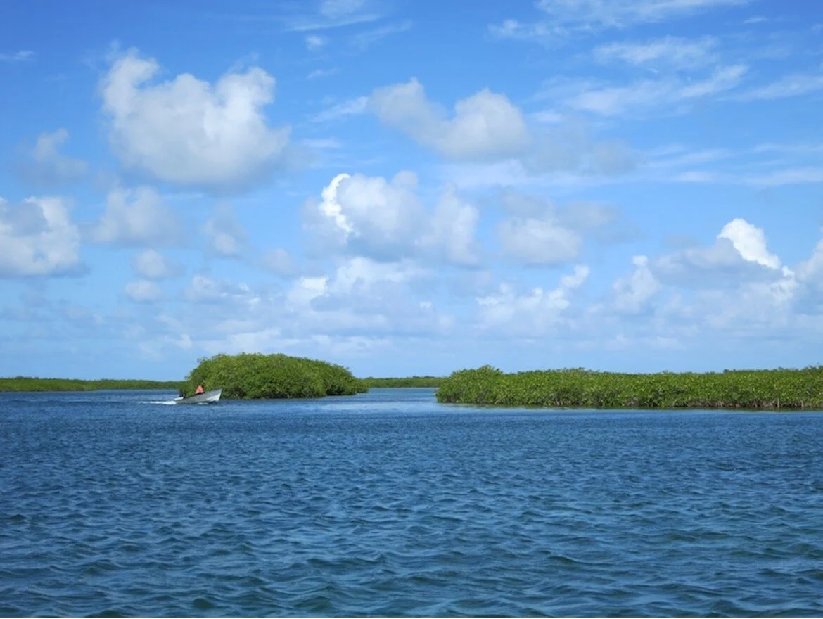 Hope and Opportunity on the Beautiful Island of Barbuda — Ayana ...