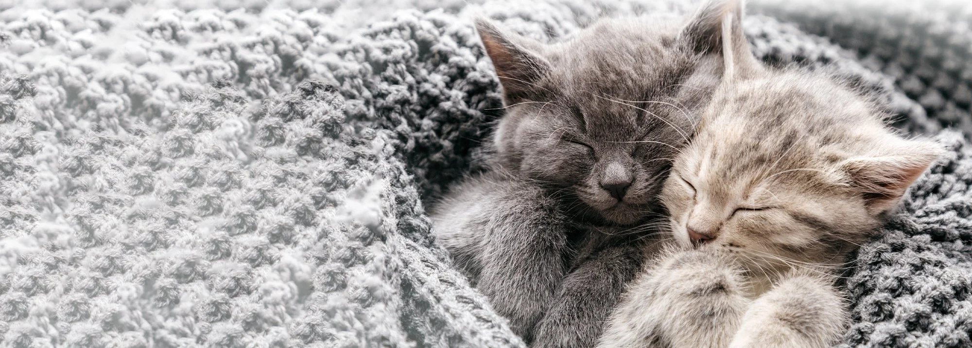 InFirst Federal Credit Union: Local Banking, Loans, & Savings