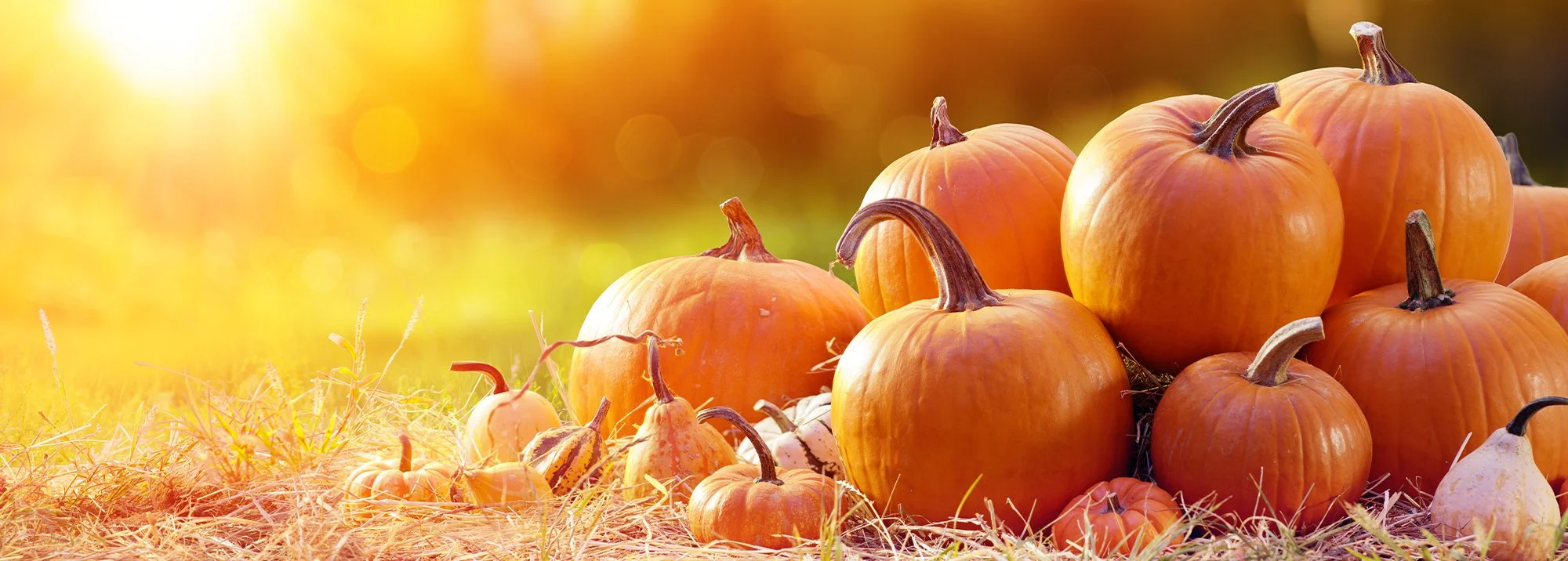 InFirst Federal Credit Union: Local Banking, Loans, & Savings