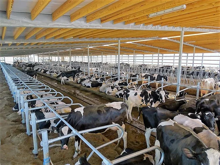 Dairy Barns l AgriSteel | AgriSteel