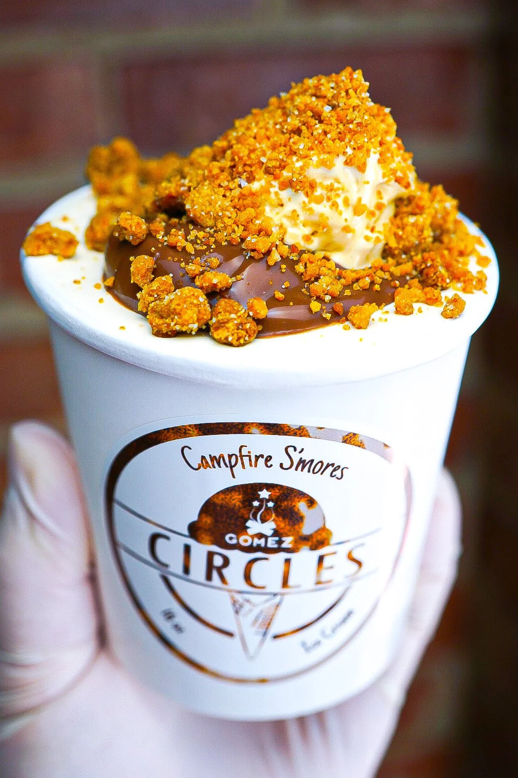 Campfire S'mores — Circles Ice Cream