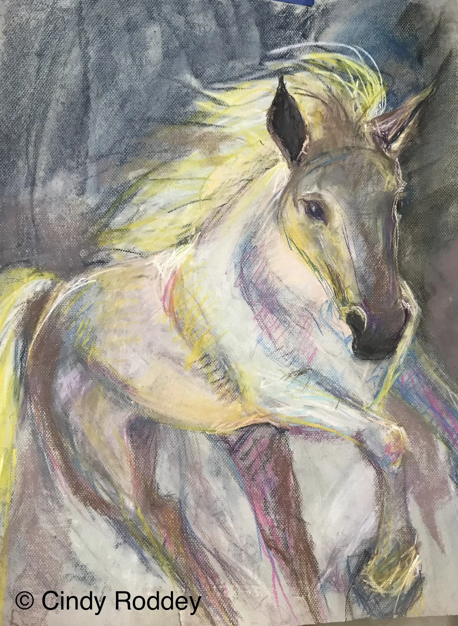 Cindy Roddey — Wild Hare Gallery