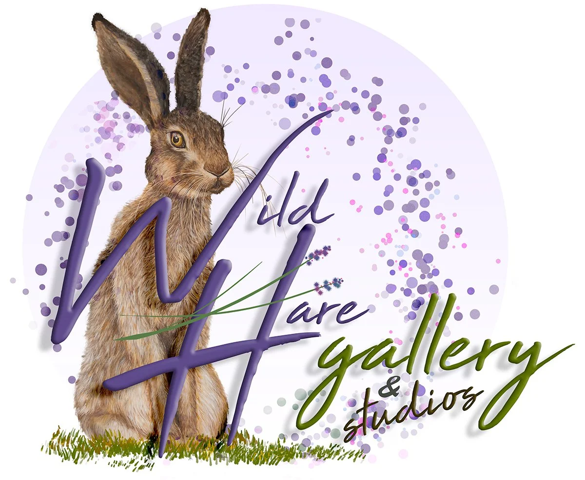 Classes — Wild Hare Gallery