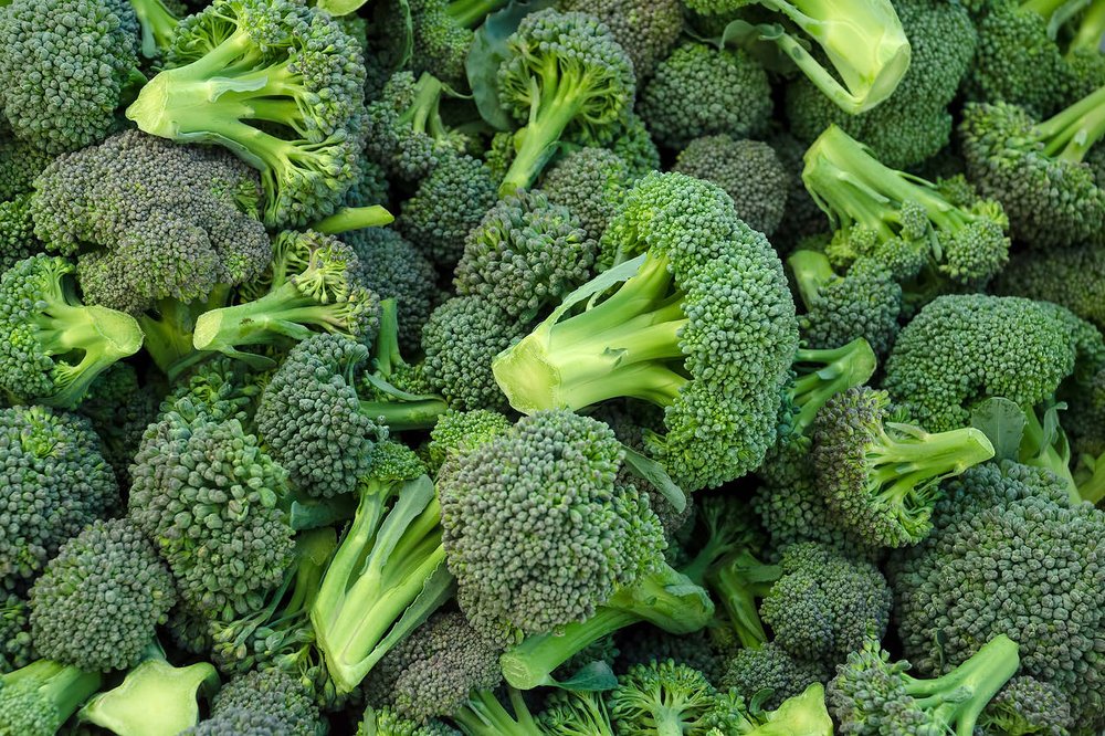Broccoli: A Closer Look — Imperial Valley Vegetable Growers Assoc.