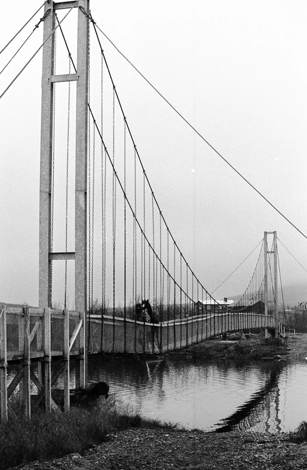 1982 Europe: Italy - Norway — Equestrian Explorer