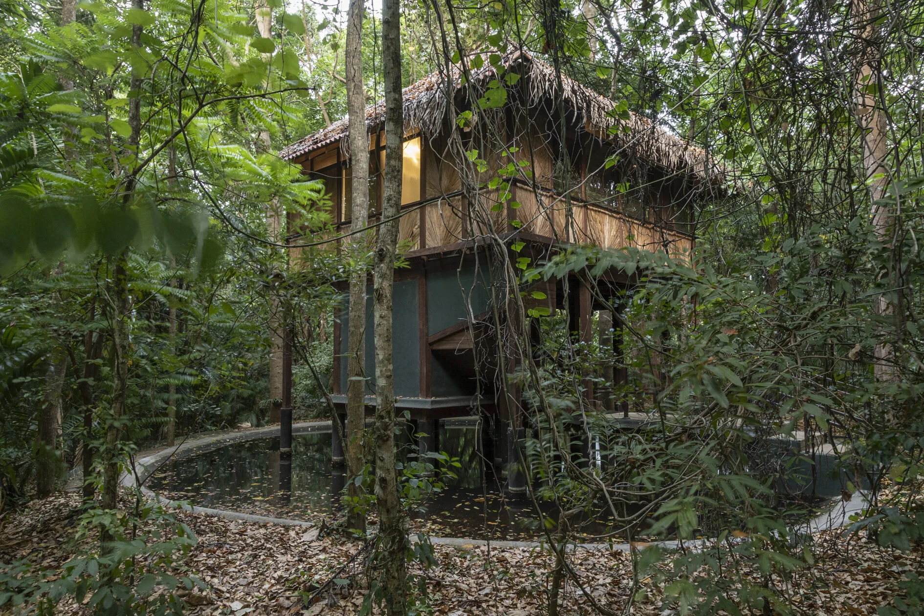 Mini Treehouses inspired by Laki Senanayake — Let's Build Great Things!