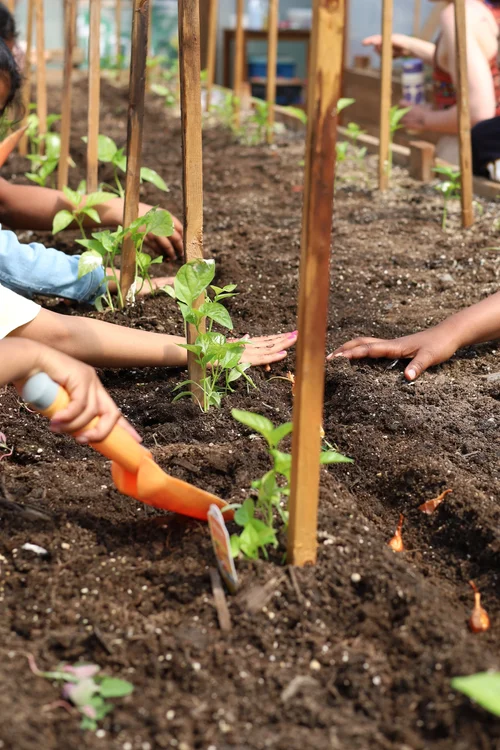 Grow Eat Learn — Nourish