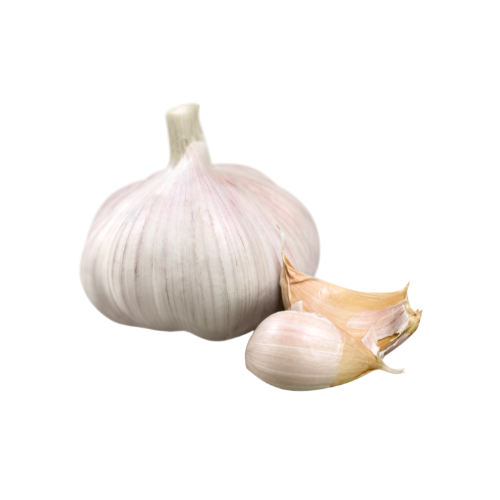 Garlic Transparent