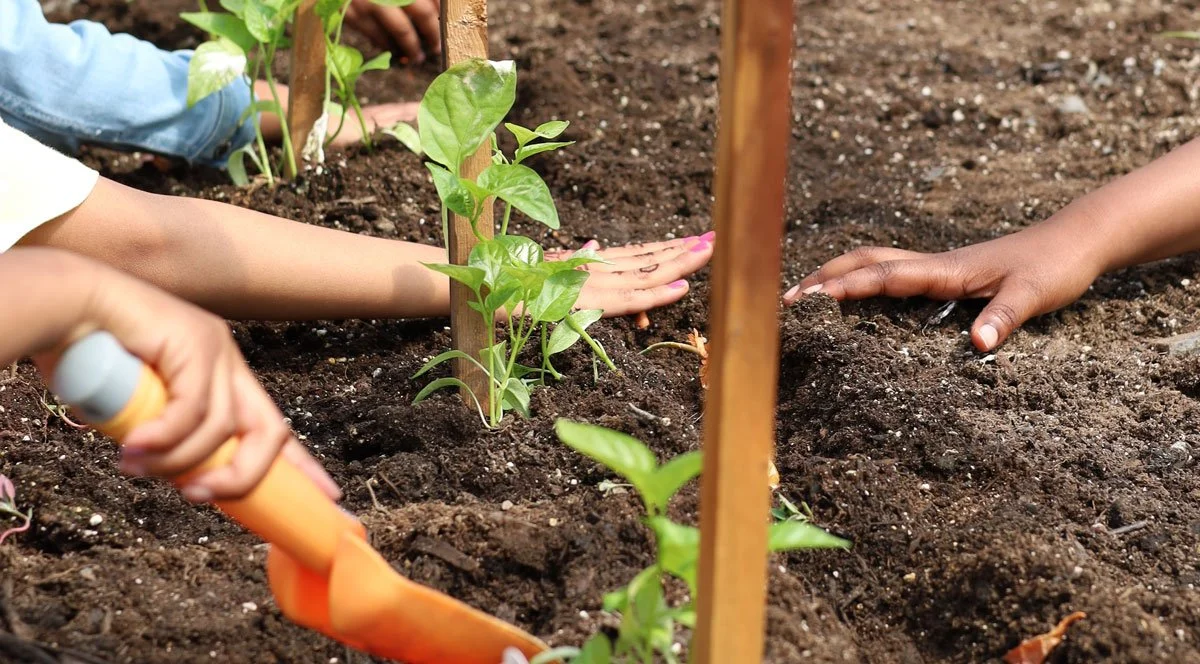 Nourish | non-profit organization | Healthy Eating for Children