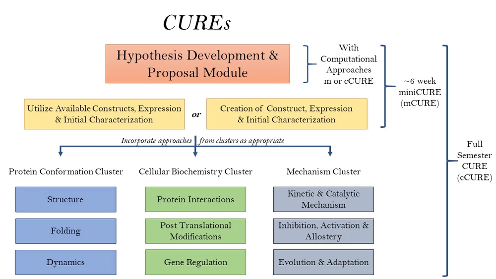What Are MCC CUREs — MCC