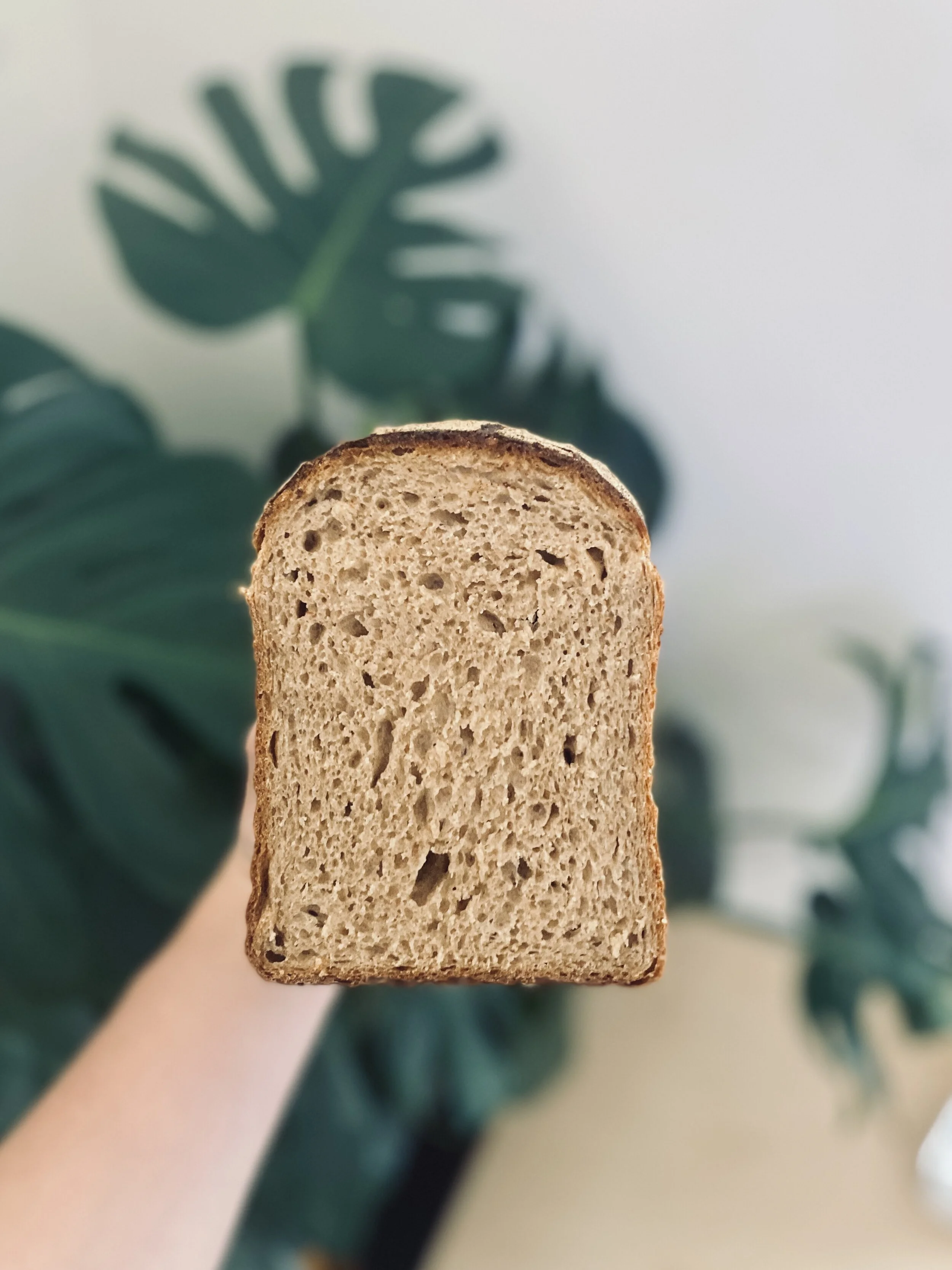 shop — LUCKY PENNY BREAD