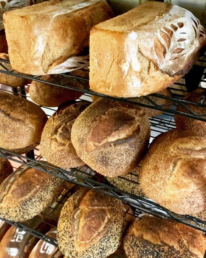 shop — LUCKY PENNY BREAD