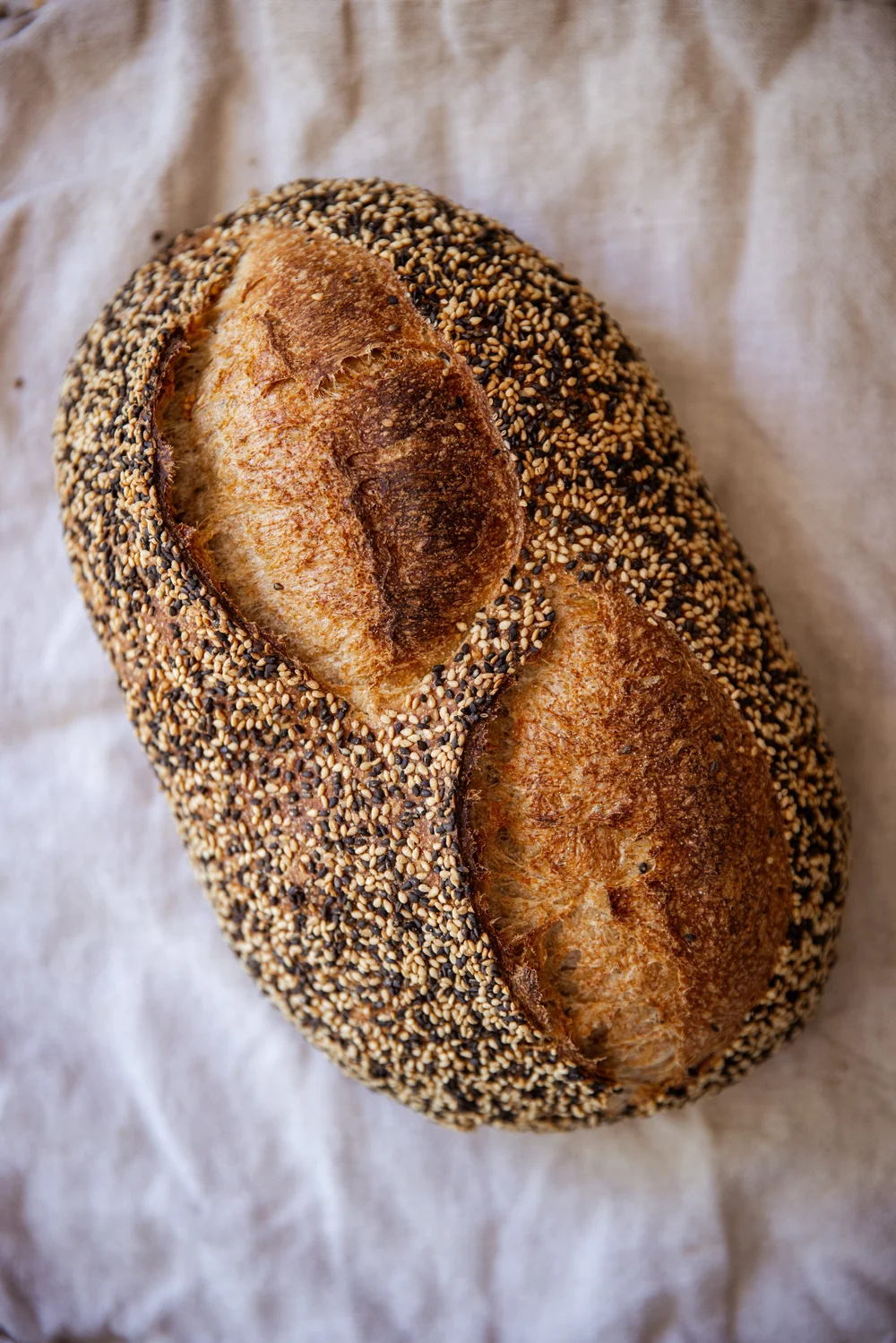 breads — LUCKY PENNY BREAD
